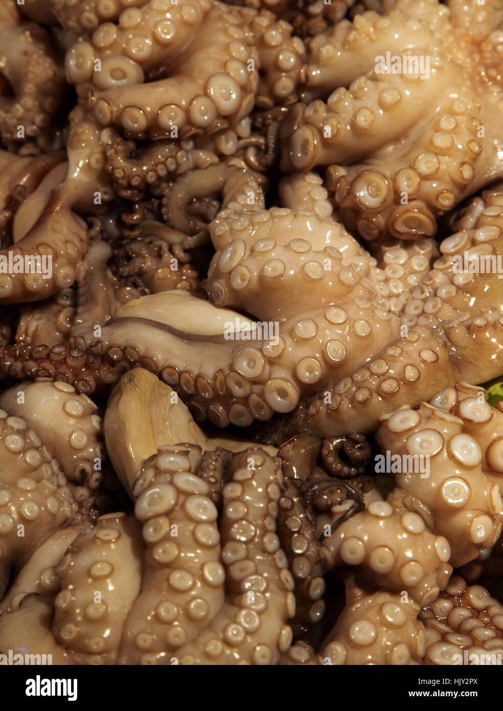 raw, seafood, octopus, heap, pile, fresh, market, food, aliment, detail ...
