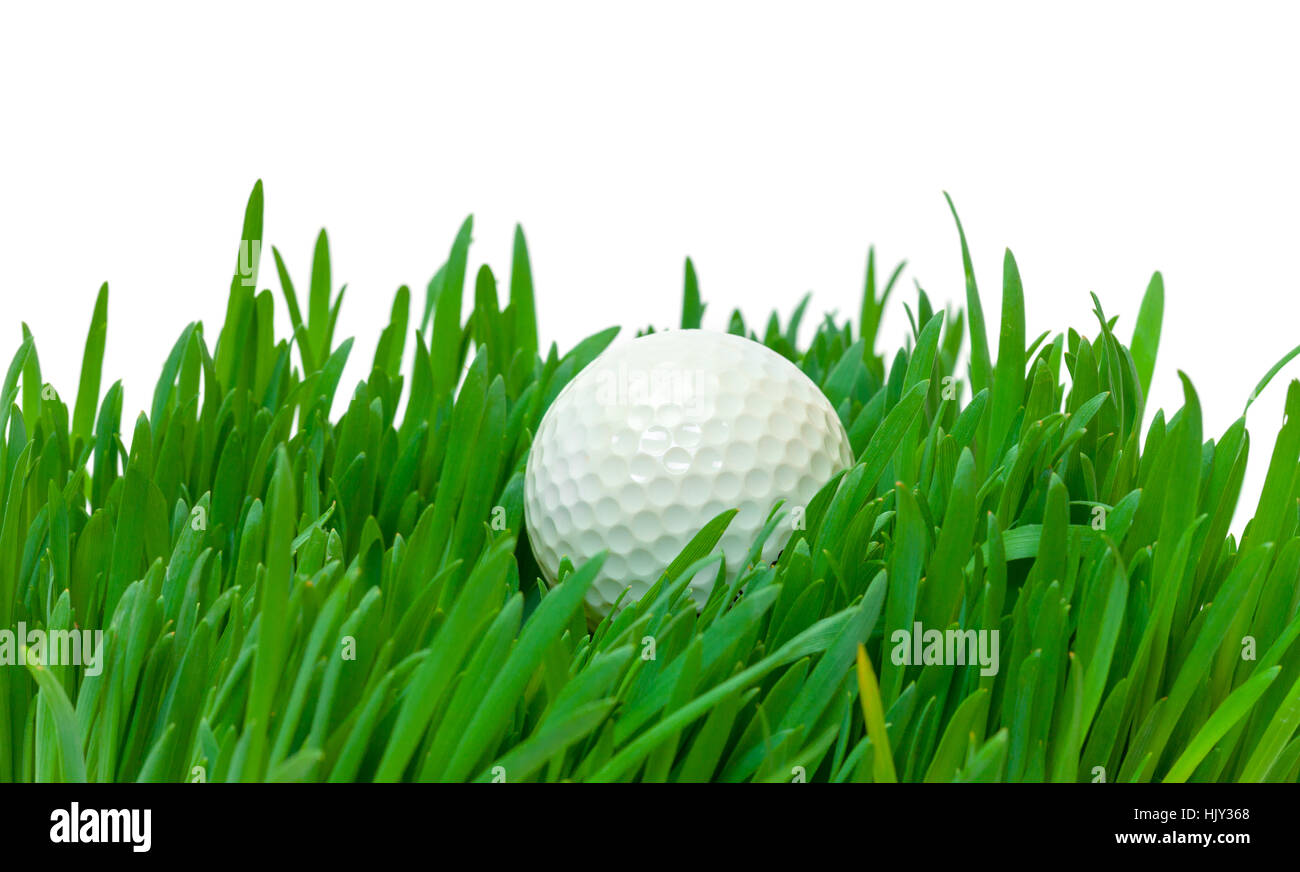leaf, sport, sports, isolated, closeup, ball, hobby, growth, golf ...