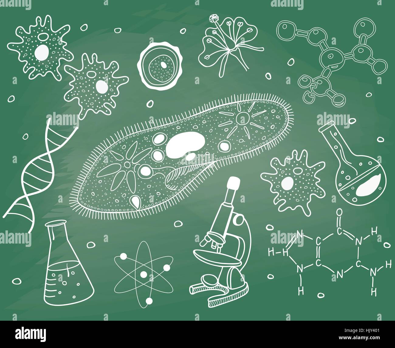 Biology sketches on school board Stock Vector Image & Art - Alamy