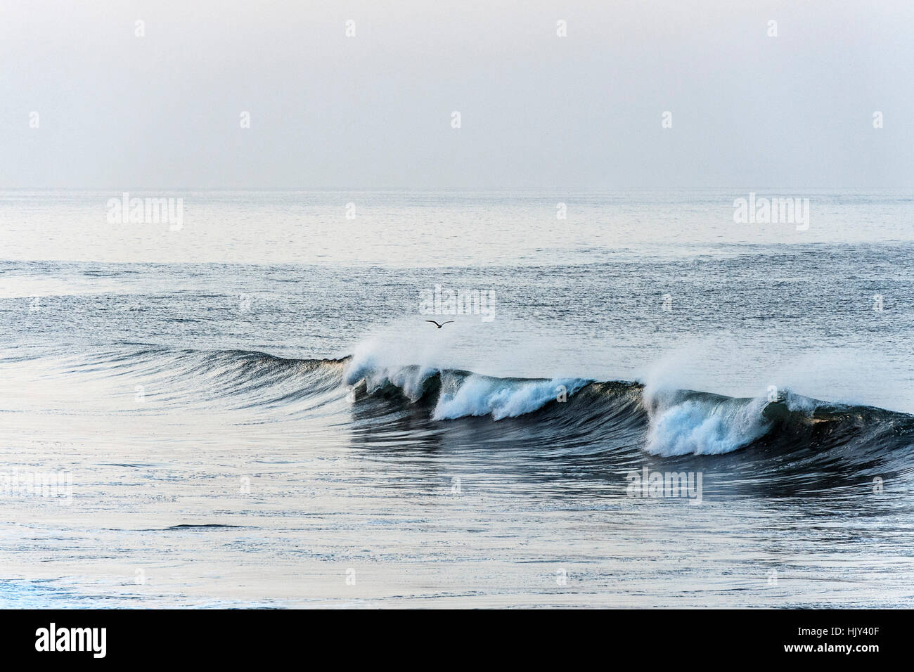 wave, calm, tides, tide, salt water, sea, ocean, water, shine, shines ...