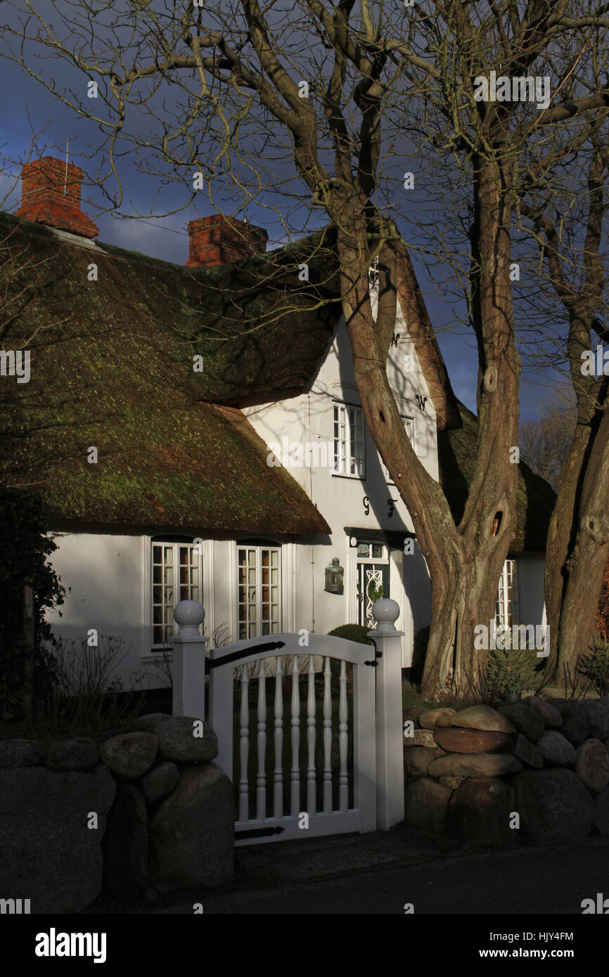 house, building, shine, shines, bright, lucent, light, serene, luminous ...