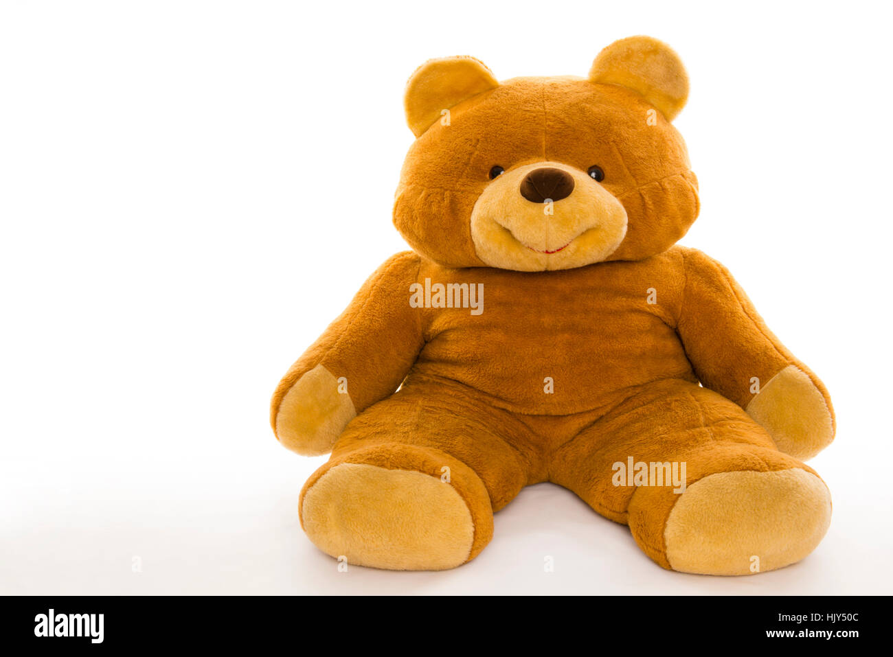 isolated,bear,pet,skin,toy,teddy,teddy bear,teddybear,cuddly toy Stock ...