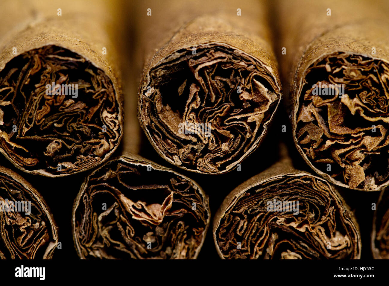 cigarette, cigar, lust, addiction, tendency, tobacco, addicted, smoker ...