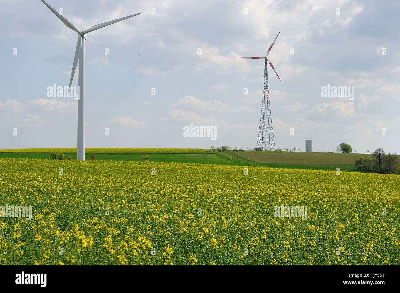 coleseed, Rape field, spring, wind engine, pinwheels, bloom, blossom, flourish Stock Photo - Alamy