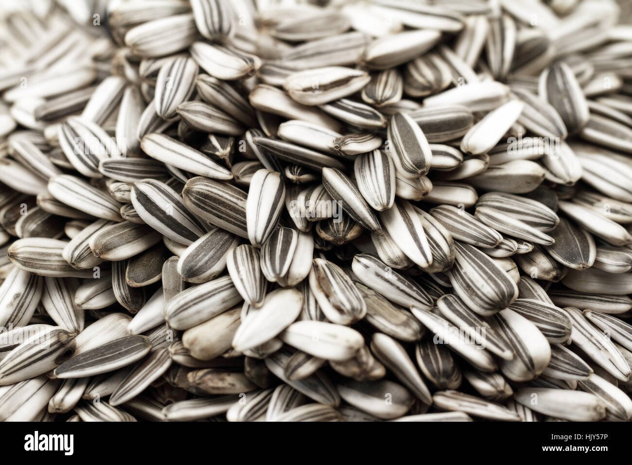 food, aliment, detail, flower, sunflower, plant, seed, ingredient ...