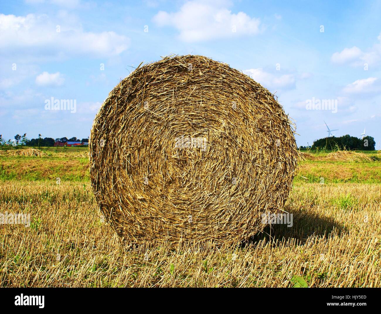 field, straw ball, straw, landlive, harvest time, firmament, sky ...
