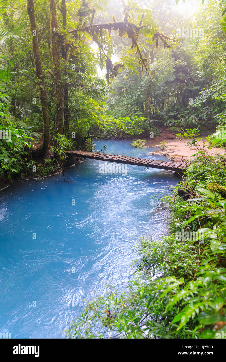 Rain rainforest bridge wood hi-res stock photography and images - Alamy