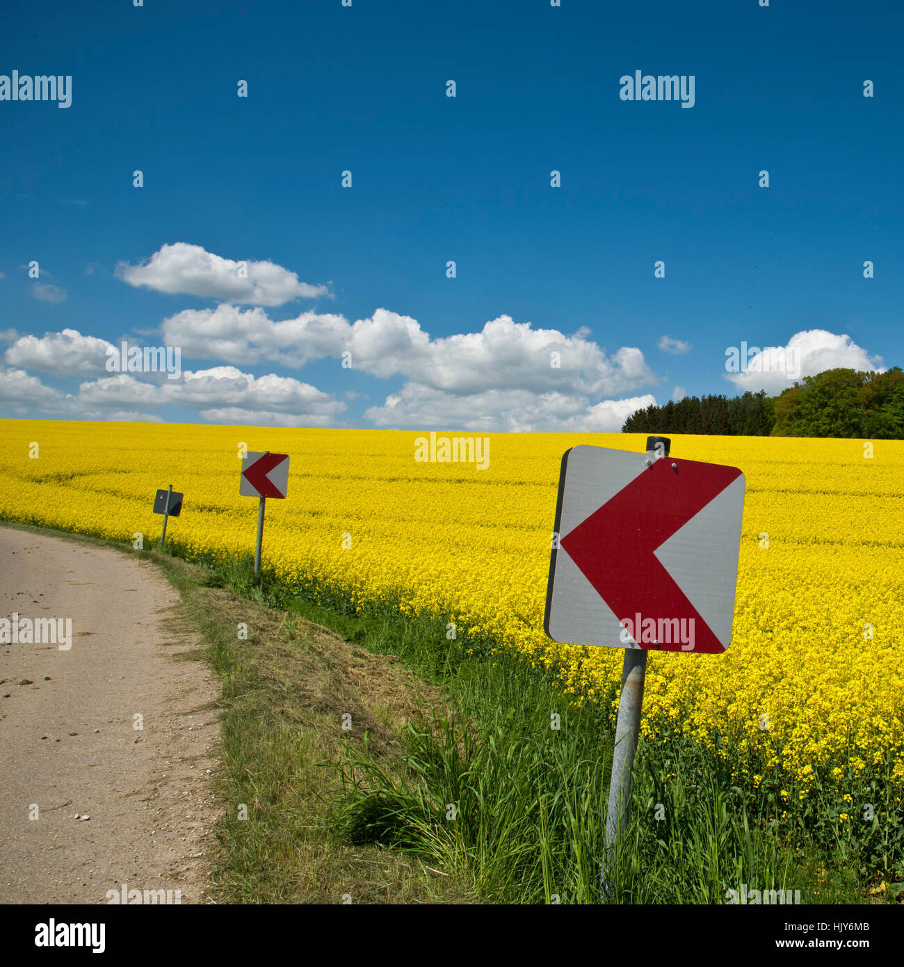 bucolic, Rape field, summer, summerly, fields, scenery, countryside ...