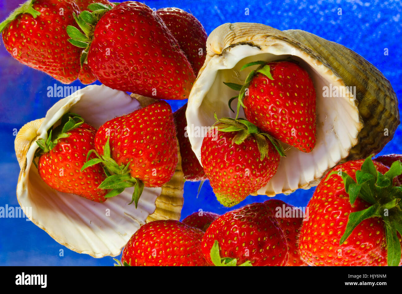 jubilee, sea shell, dessert, birthday, blue, green, blank, european ...