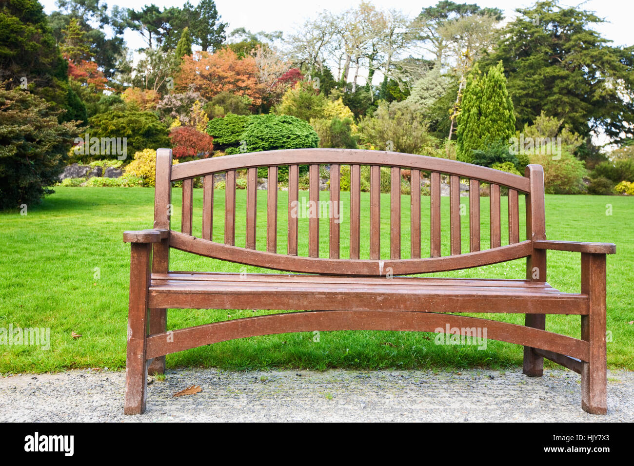 object, relaxation, tree, park, garden, wood, backyard, horizontal ...