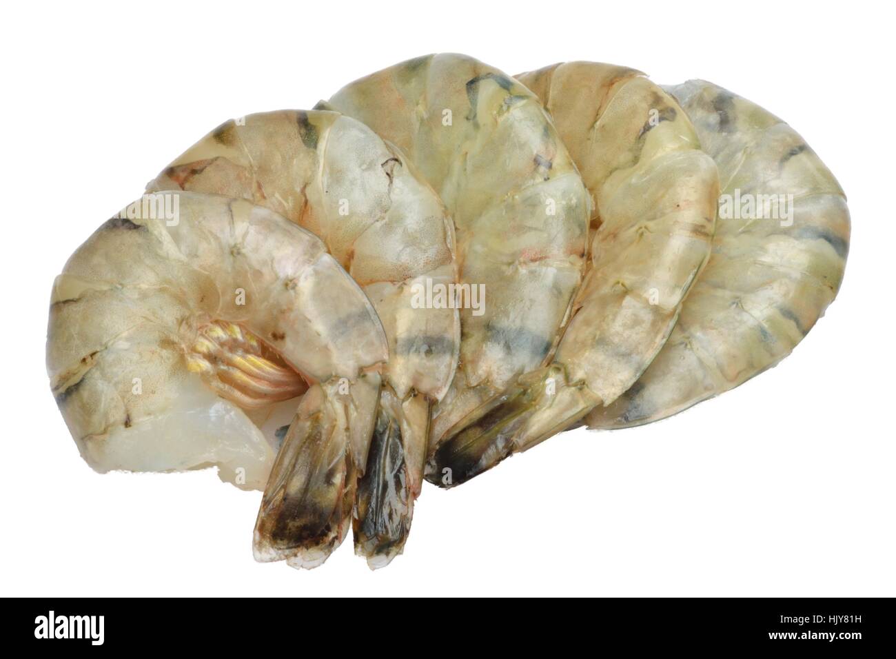 King of king Cut Out Stock Images & Pictures - Alamy