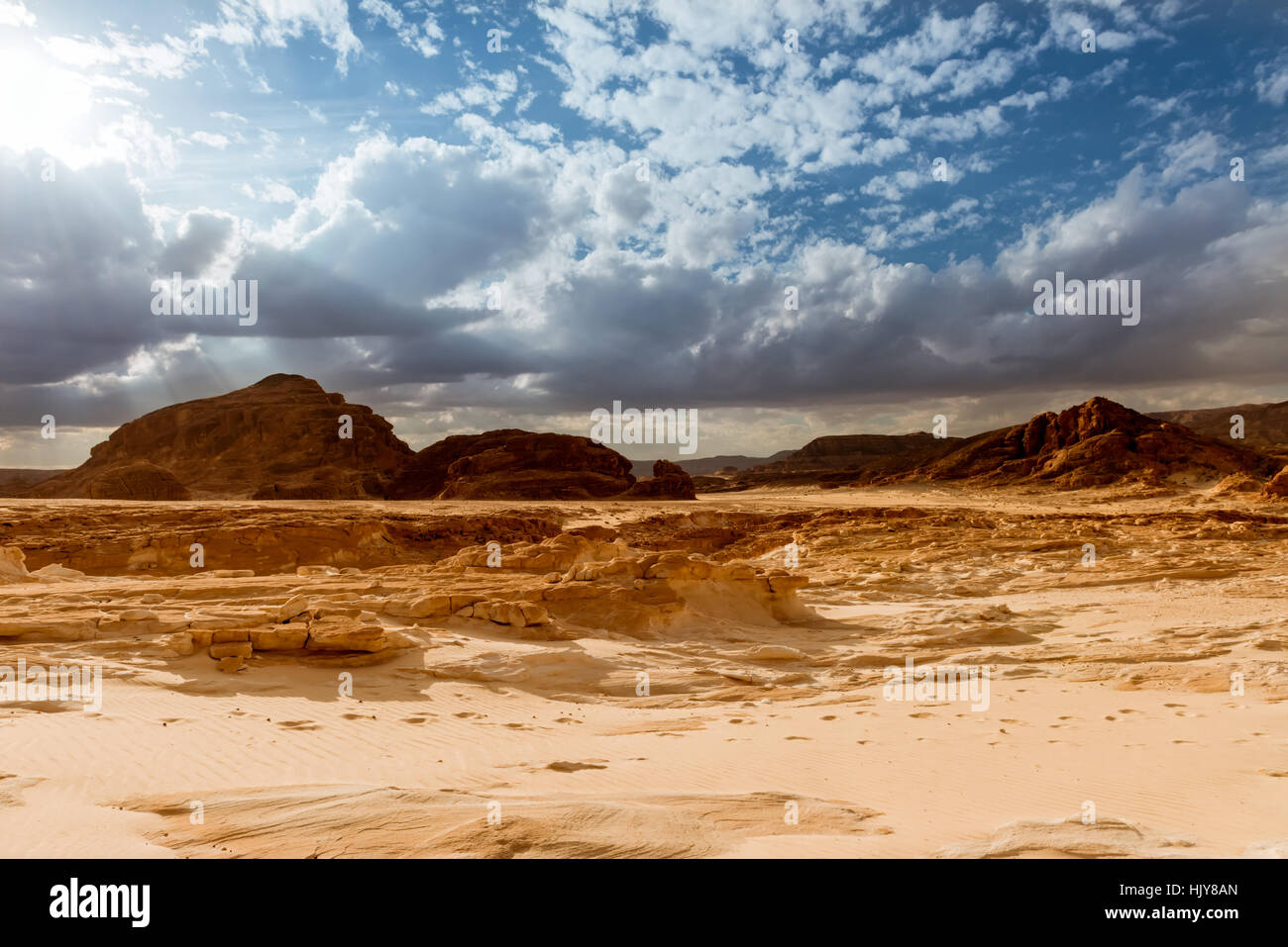 Sinai desert hi-res stock photography and images - Alamy