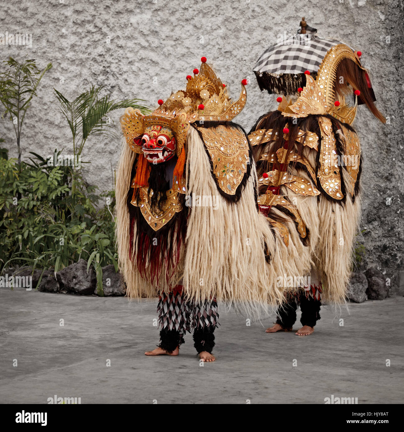 The traditional costume for a theater performance - Barong. Indonesia ...