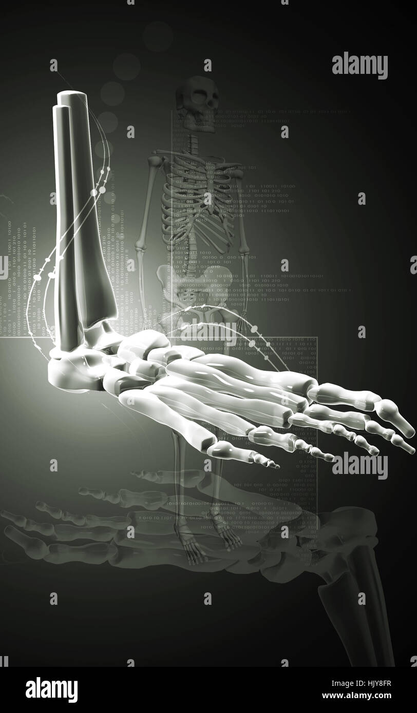 medicinally, medical, graphics, colour, human, human being, foot, toe ...