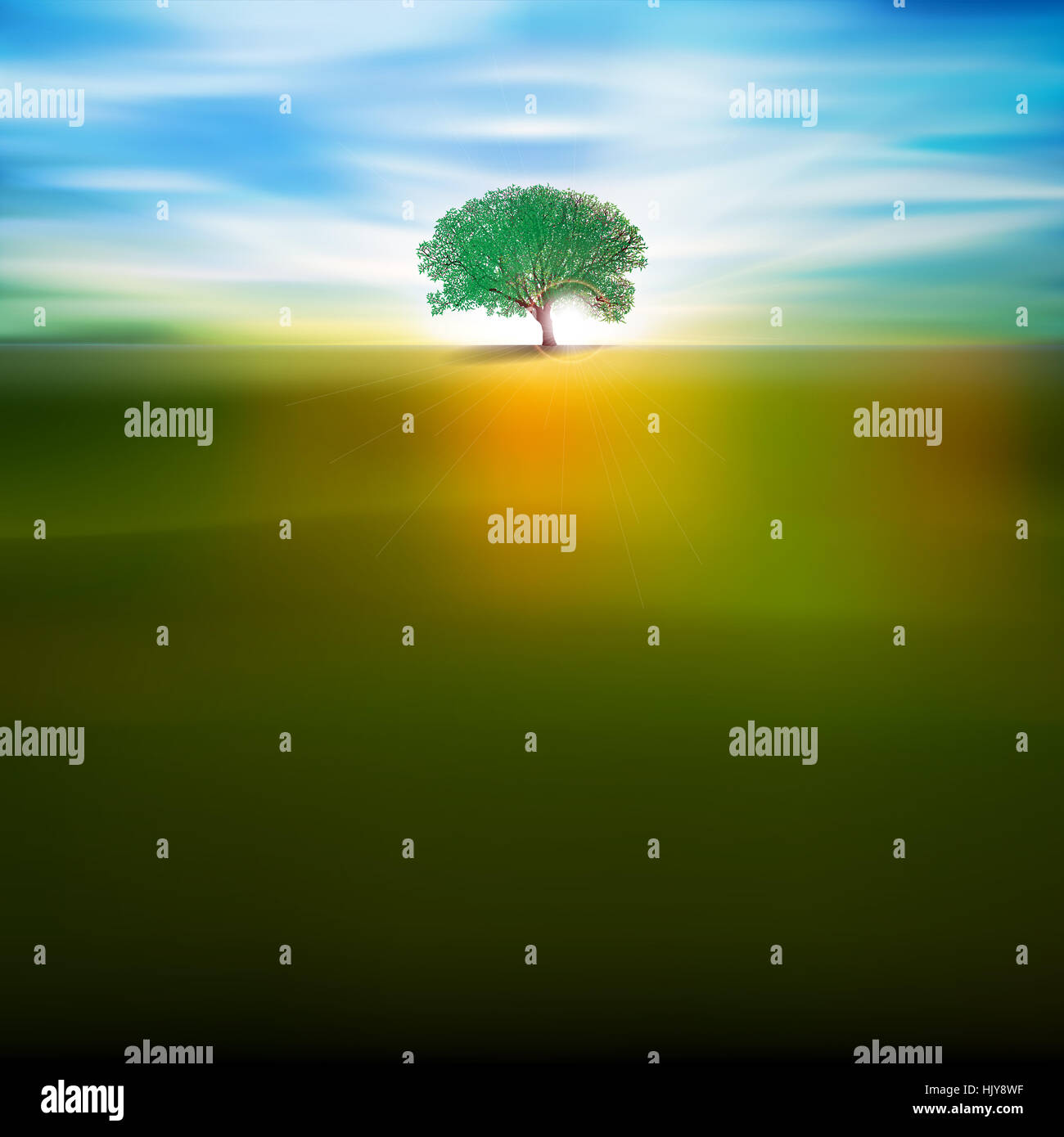 sunset, cloud, sunrise, sunlight, globe, planet, earth, world ...