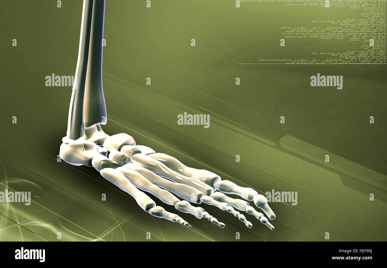 medicinally, medical, graphics, colour, human, human being, foot, toe ...