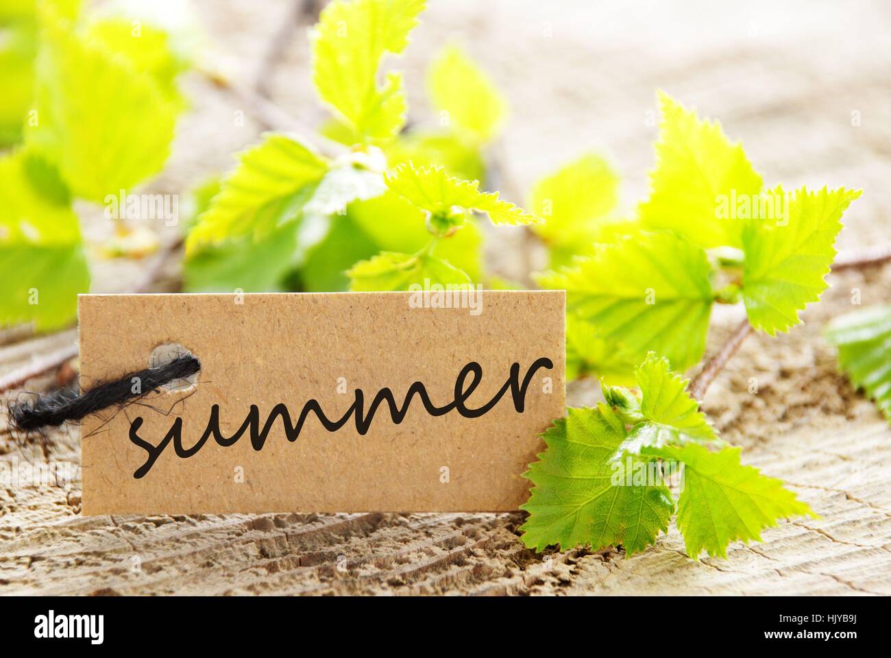 a natural looking label with summer written on it and with green leaves ...