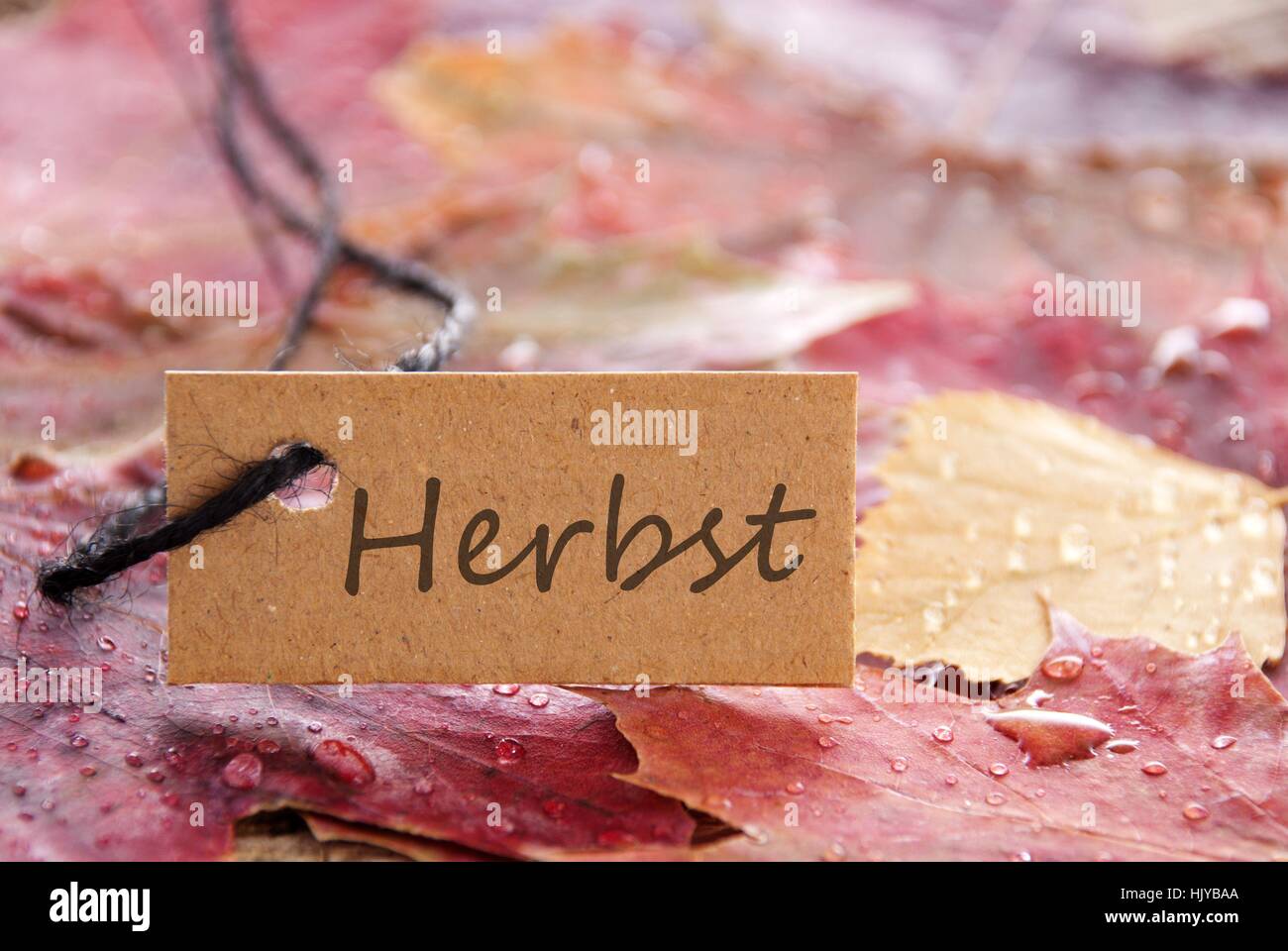 a label tag with the german word Herbst, which means autumn or fall, on ...
