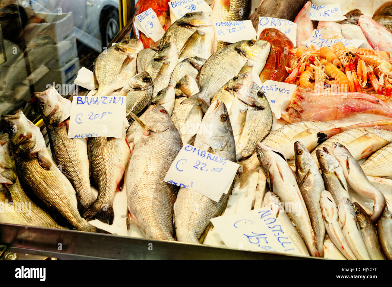 angle, fish, humans, human beings, people, folk, persons, human, human ...