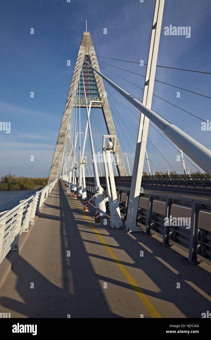 big, large, enormous, extreme, powerful, imposing, immense, relevant ...