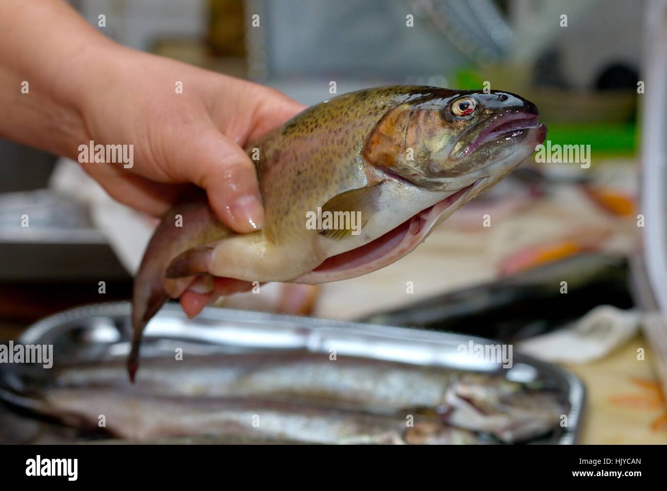 Preparing fish in the kitchen Stock Photo - Alamy