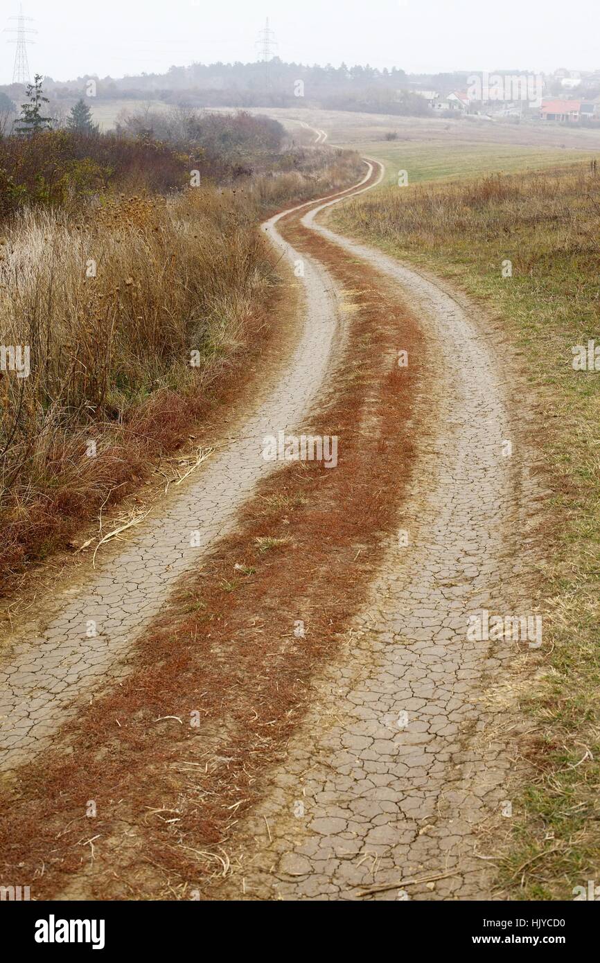 field, dry, dried up, barren, land, landscape, scenery, countryside ...