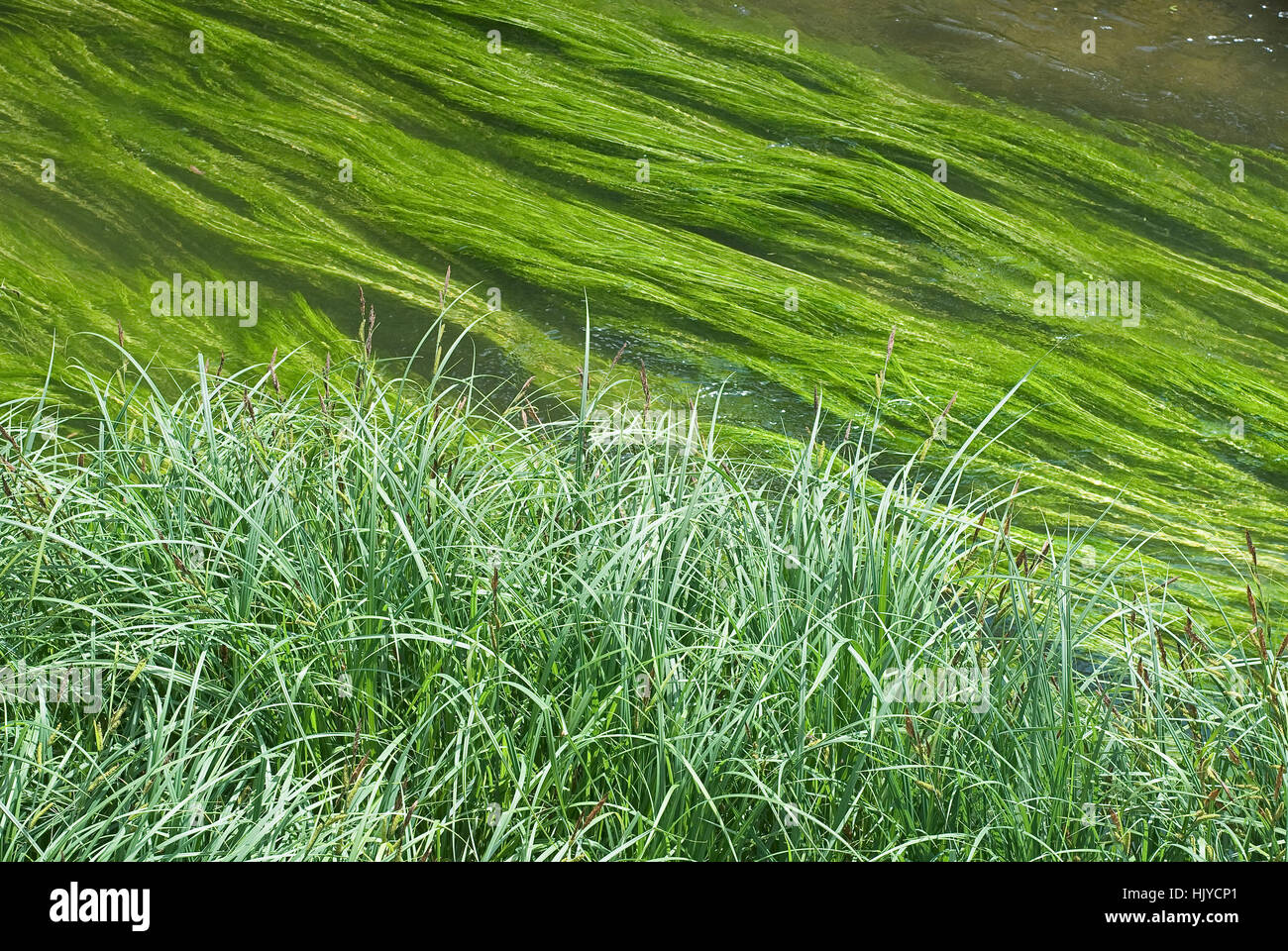 environment, enviroment, ecology, clean, landscape, scenery ...