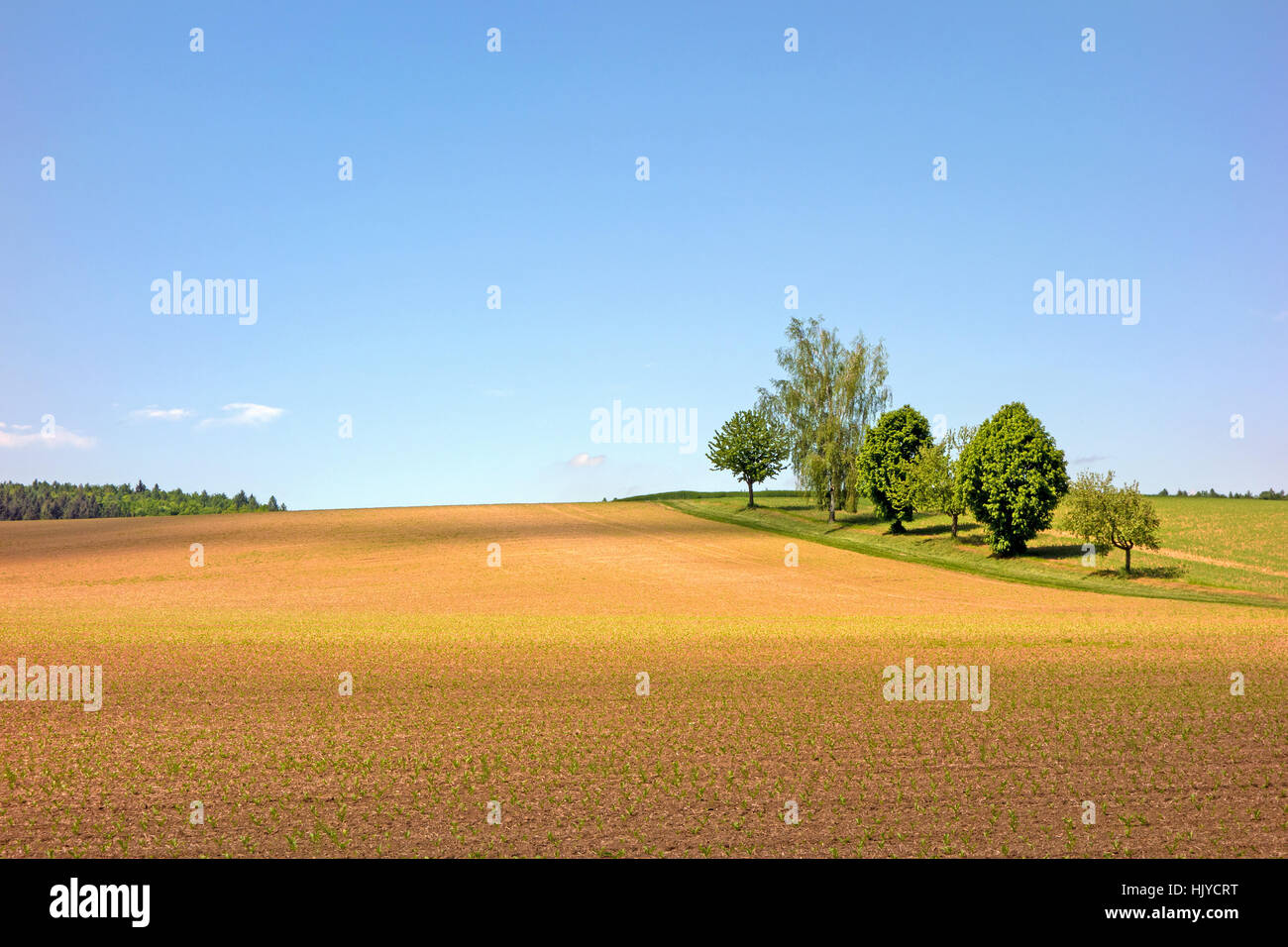 blue, beautiful, beauteously, nice, travel, environment, enviroment ...