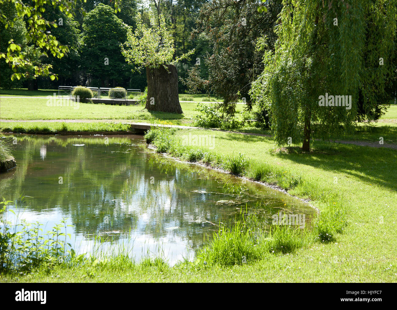 pond in the park Stock Photo - Alamy
