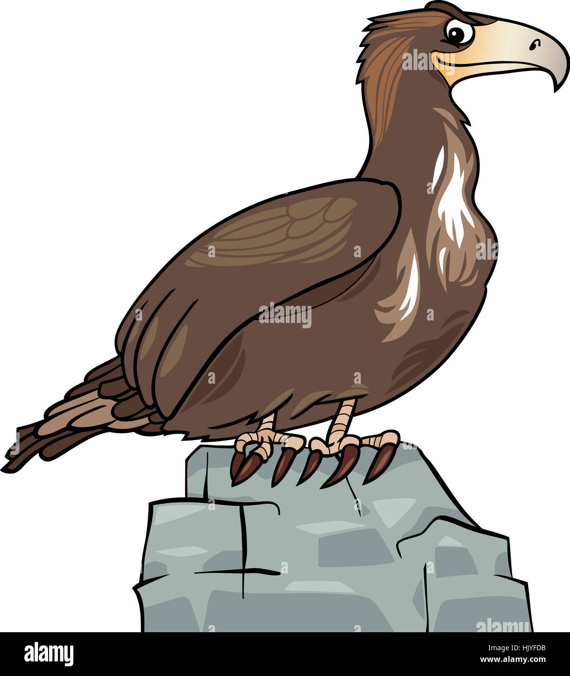 comic, bird, illustration, eagle, character, funny, humorous, cartoon ...