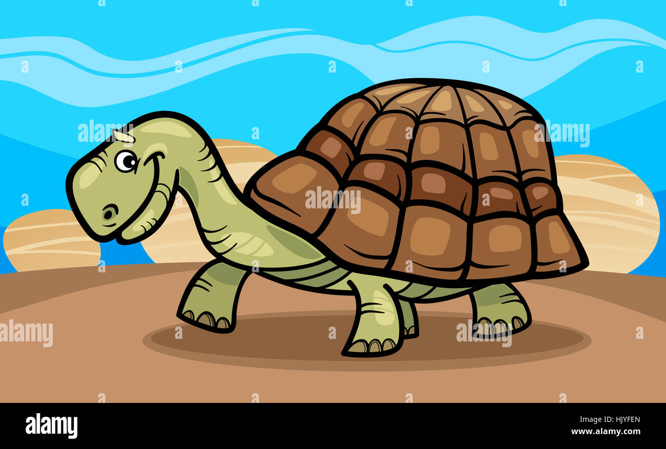 Turtle tortoise laugh laughs laughing hi-res stock photography and ...