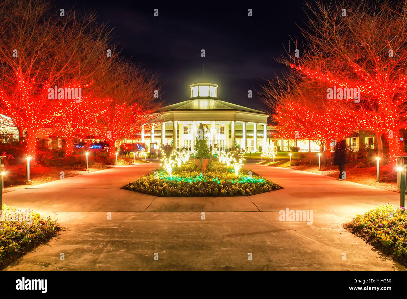 Night garden shrub lighting hi-res stock photography and images - Alamy