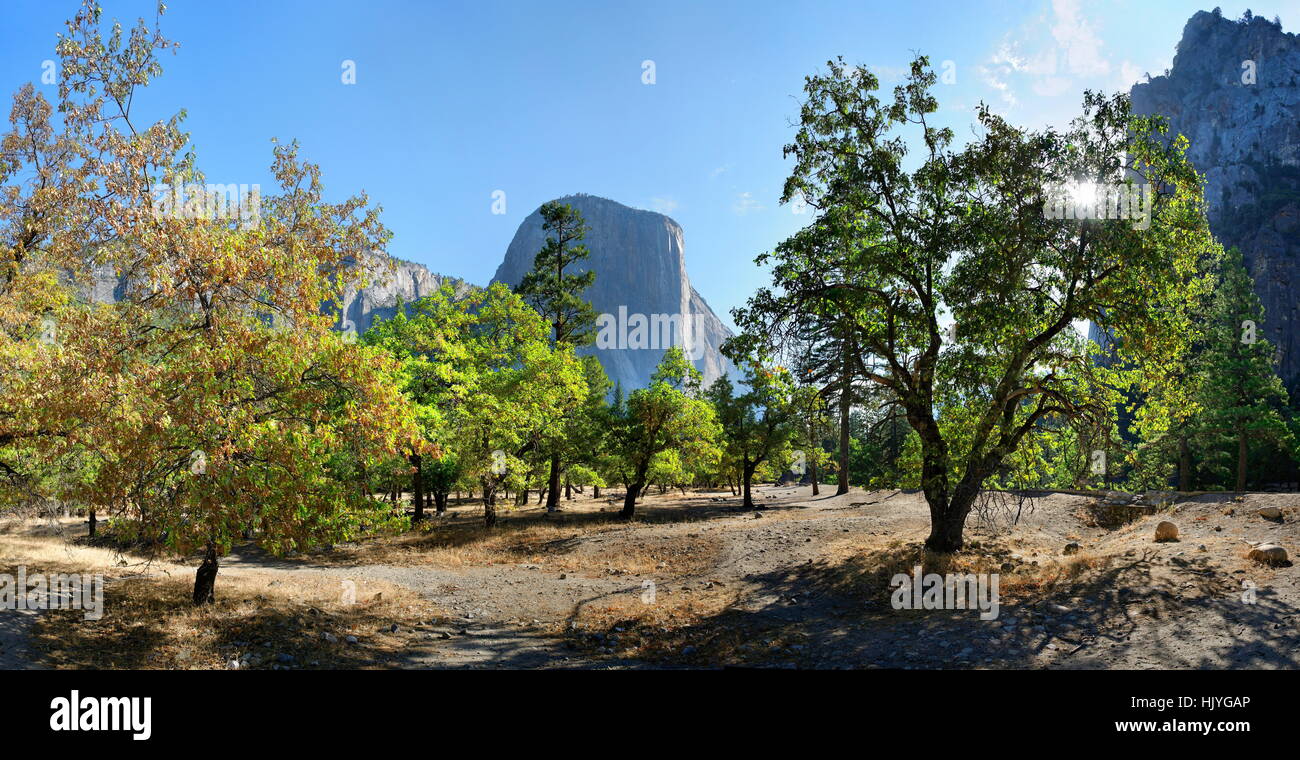 usa, california, america, scenery, countryside, nature, park, holiday ...