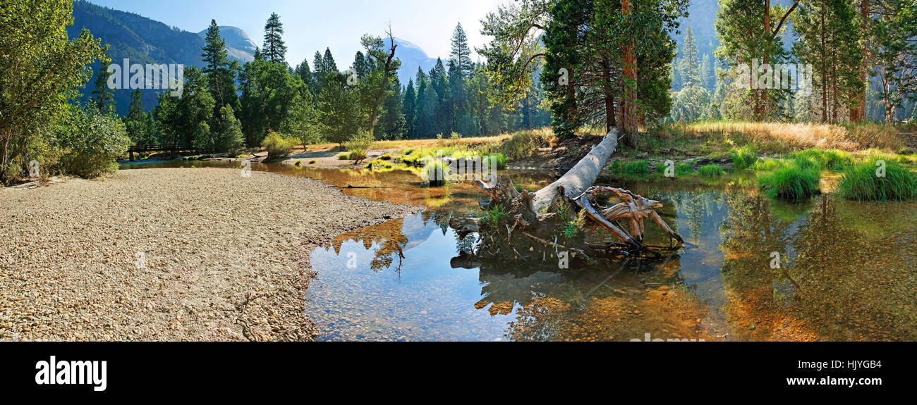usa, california, america, scenery, countryside, nature, tree, park ...