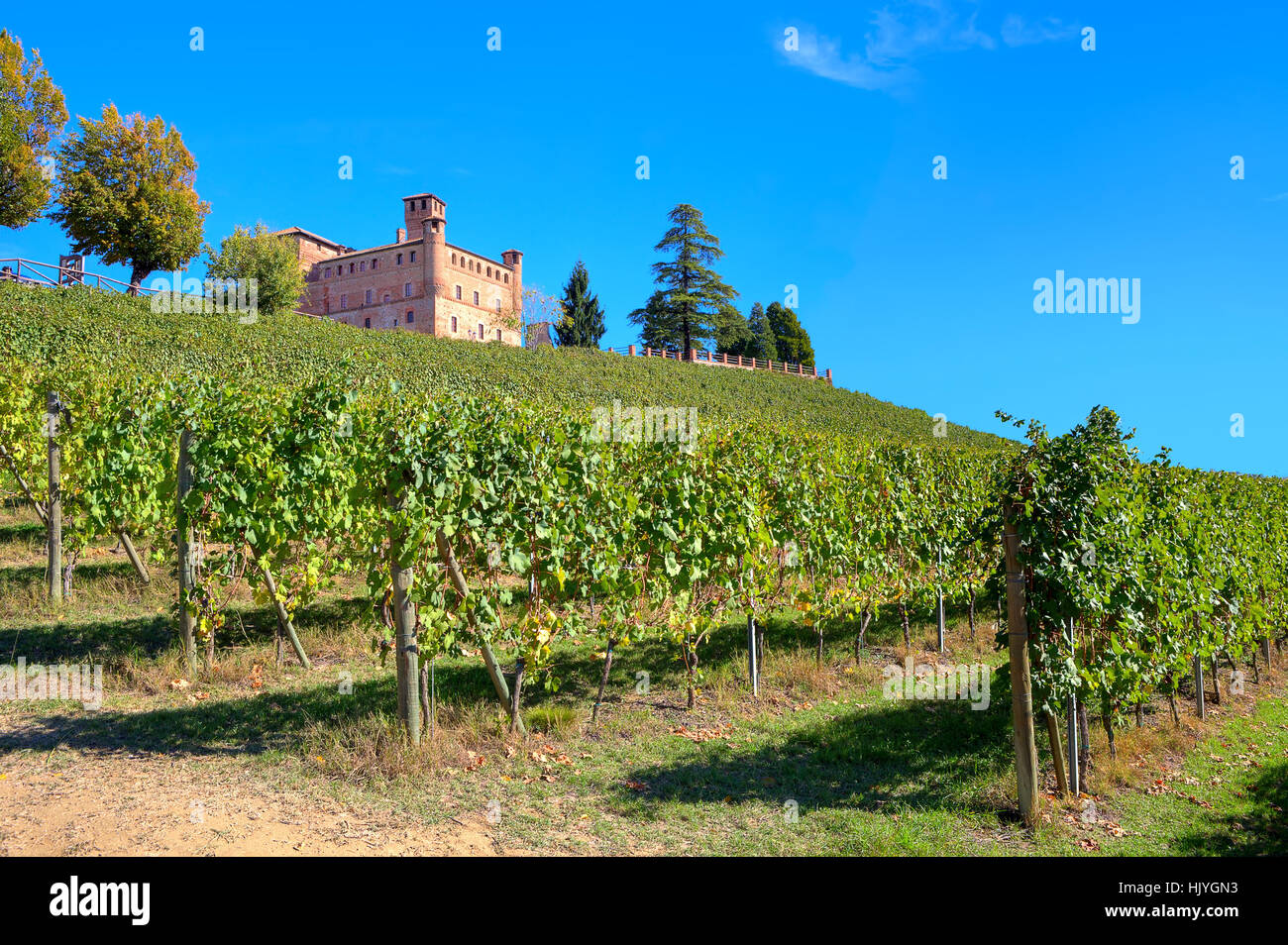 vineyard, medieval, wineyard, castle, landmark, scenery, countryside ...