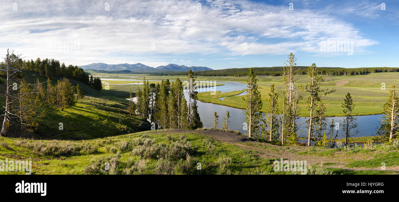 national park, tourism, vegetation, lawn, green, environment ...