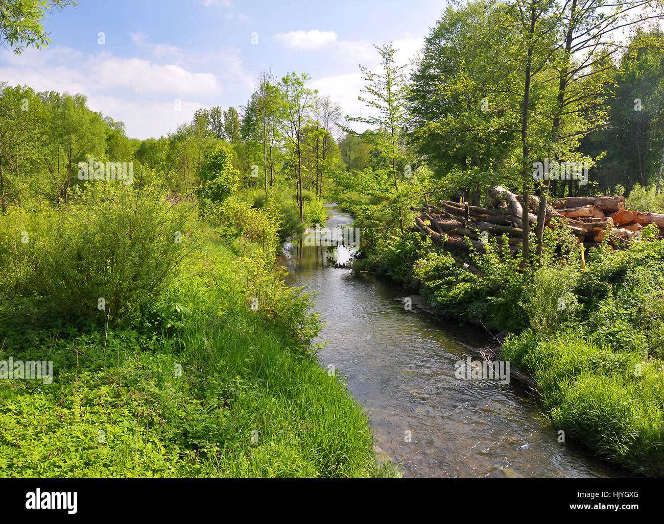 tree, trees, flow, waters, stream, spring, ceramic tiles, watercourse ...