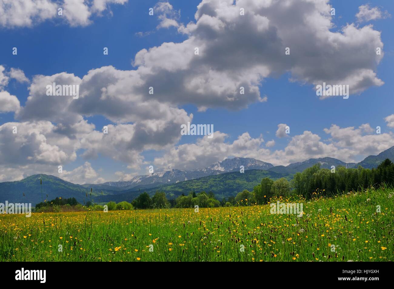 mountains, spring, a trip goal, upper bavaria, alpine upland, scenery ...