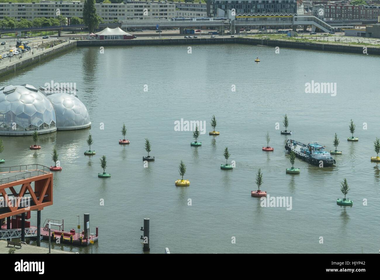 Bobbing Forest, trees floating in the water in Rotterdam, 15.6.2015 ...