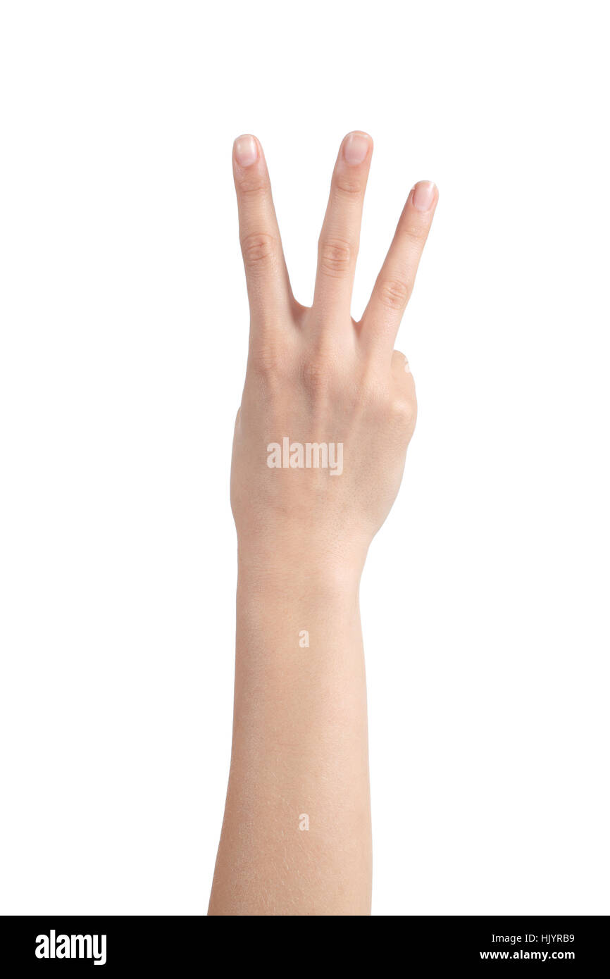 woman, hand, hands, third, three, fingers, counting, woman, sign ...