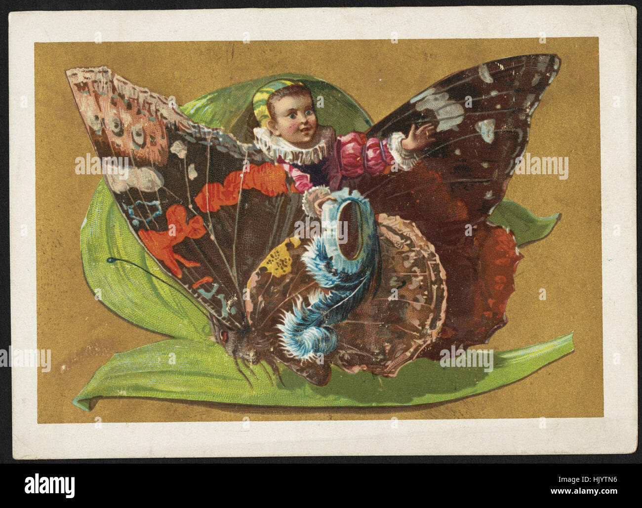 Boy riding butterfly sitting on a leaf Stock Photo - Alamy