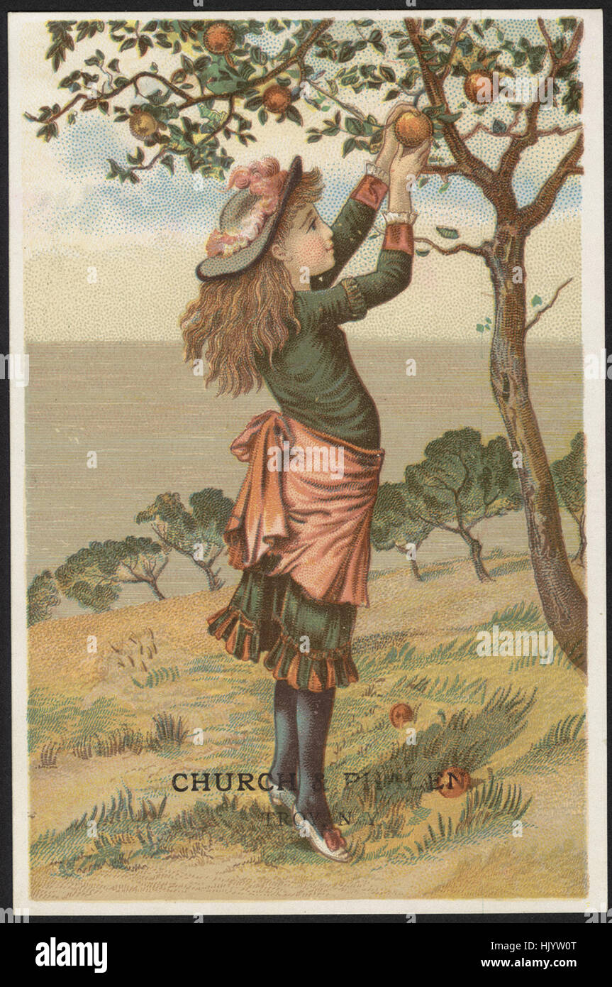 Phalen hi-res stock photography and images - Alamy