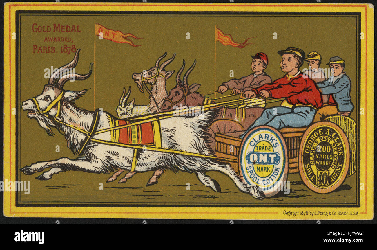 O cotton hi-res stock photography and images - Alamy