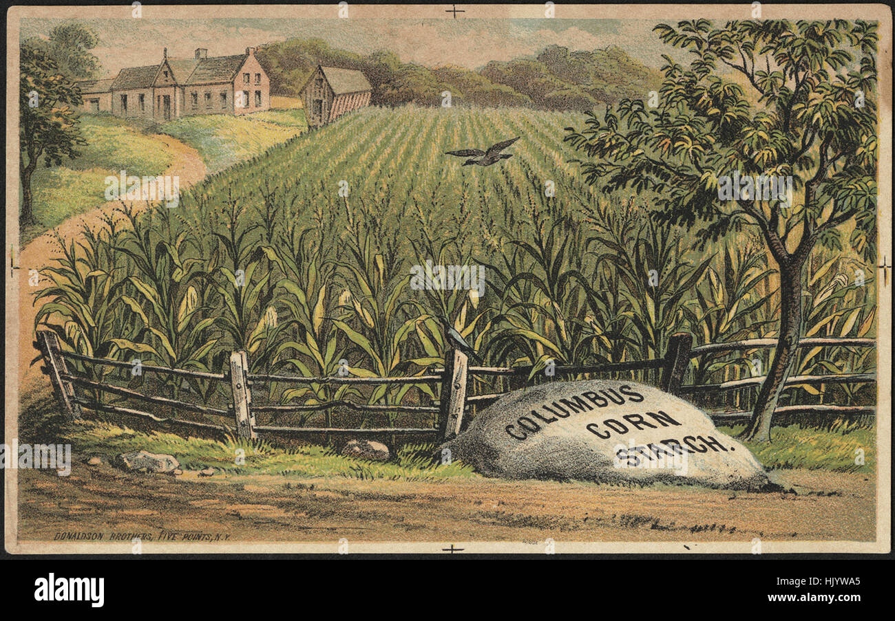 Columbus Corn Starch Stock Photo - Alamy