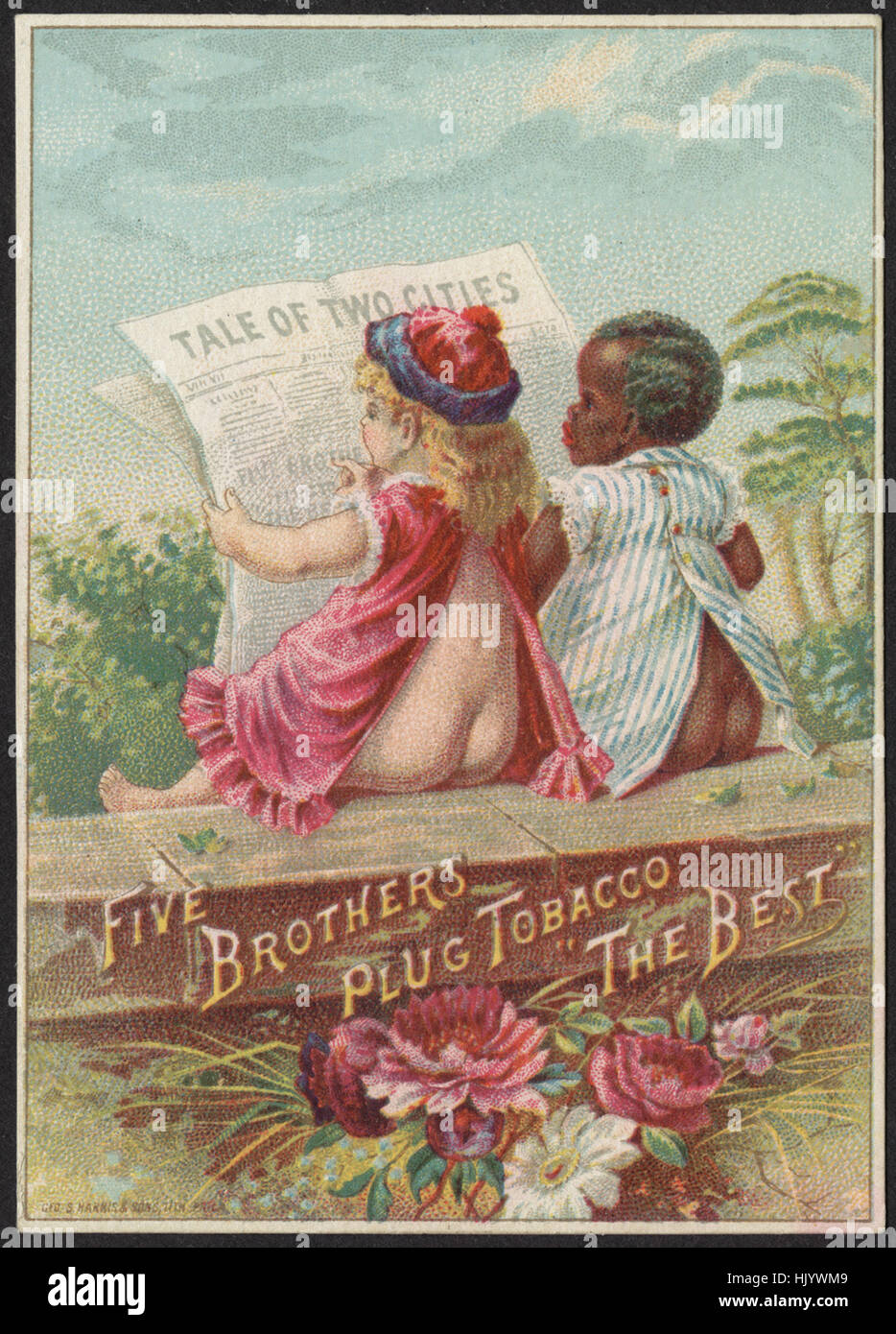 Tobacco plug hi-res stock photography and images - Alamy