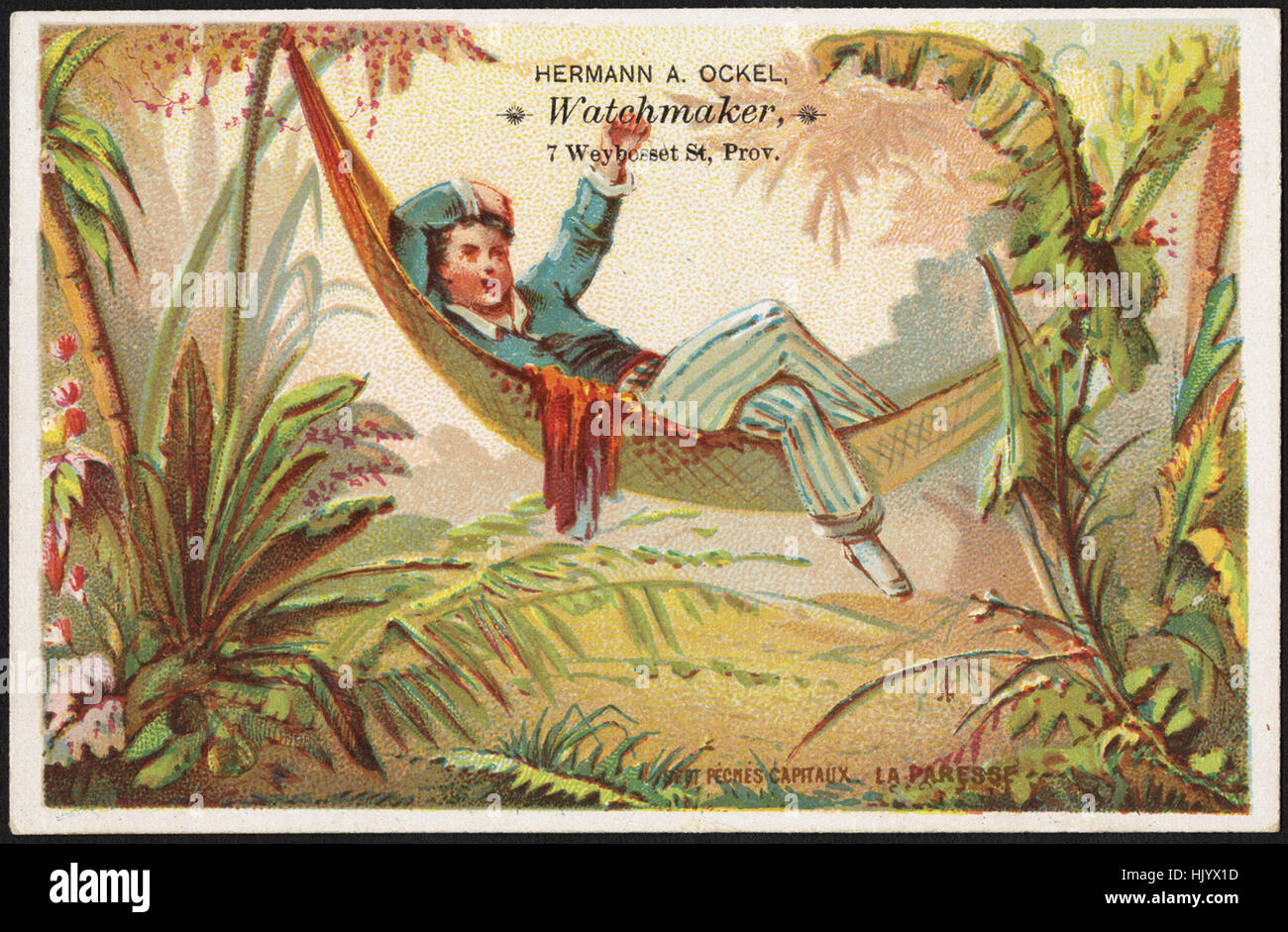 Ockel hi-res stock photography and images - Alamy