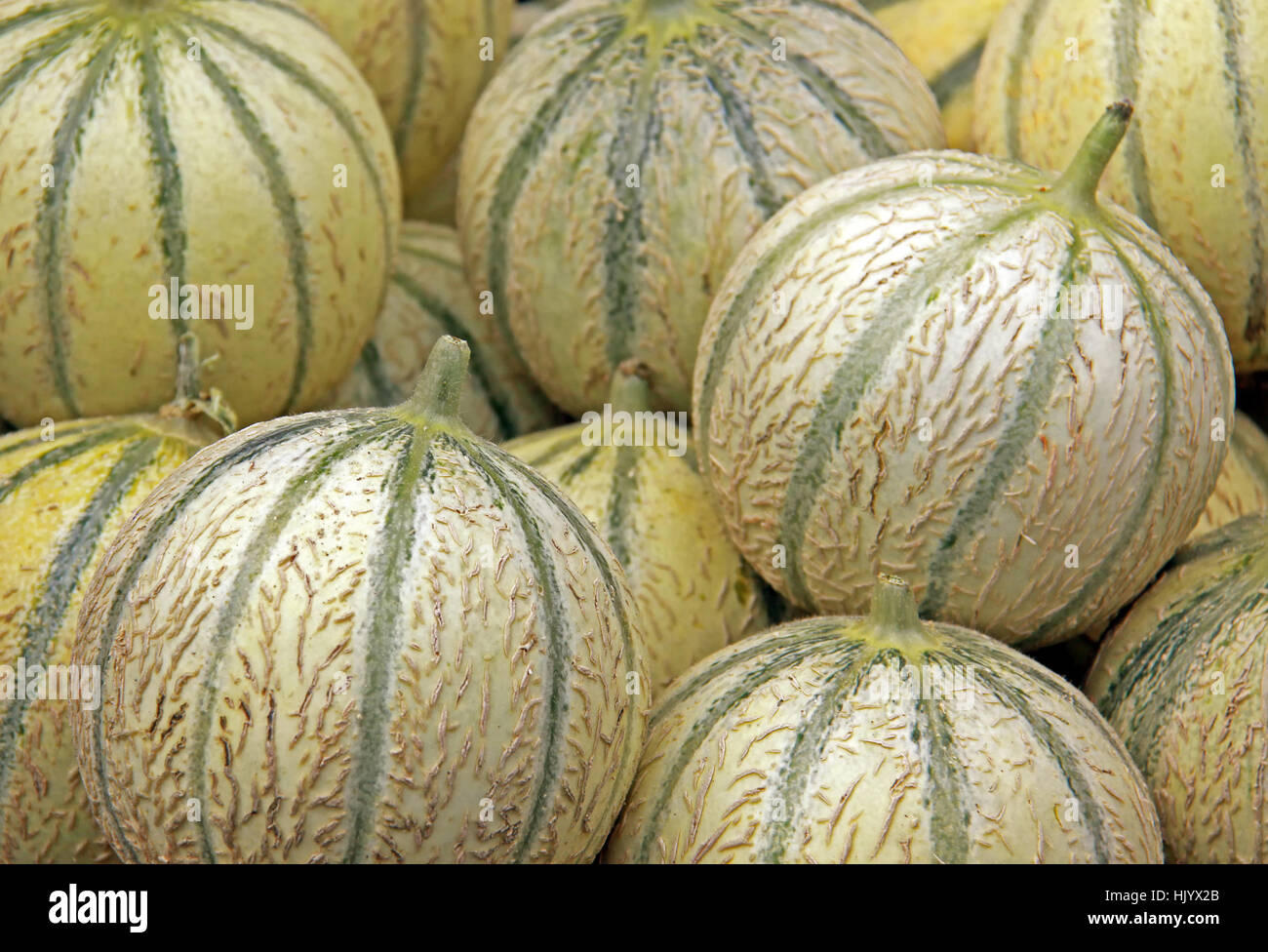 melon, melons, sugar melon, progenies, fruits, fruit, shop window ...