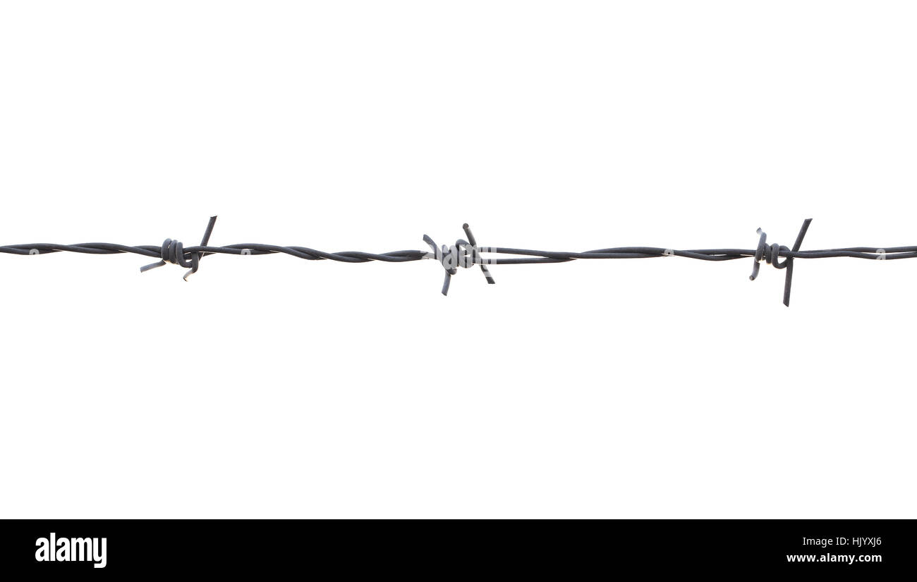 Barbed wire isolated on white background Stock Photo - Alamy