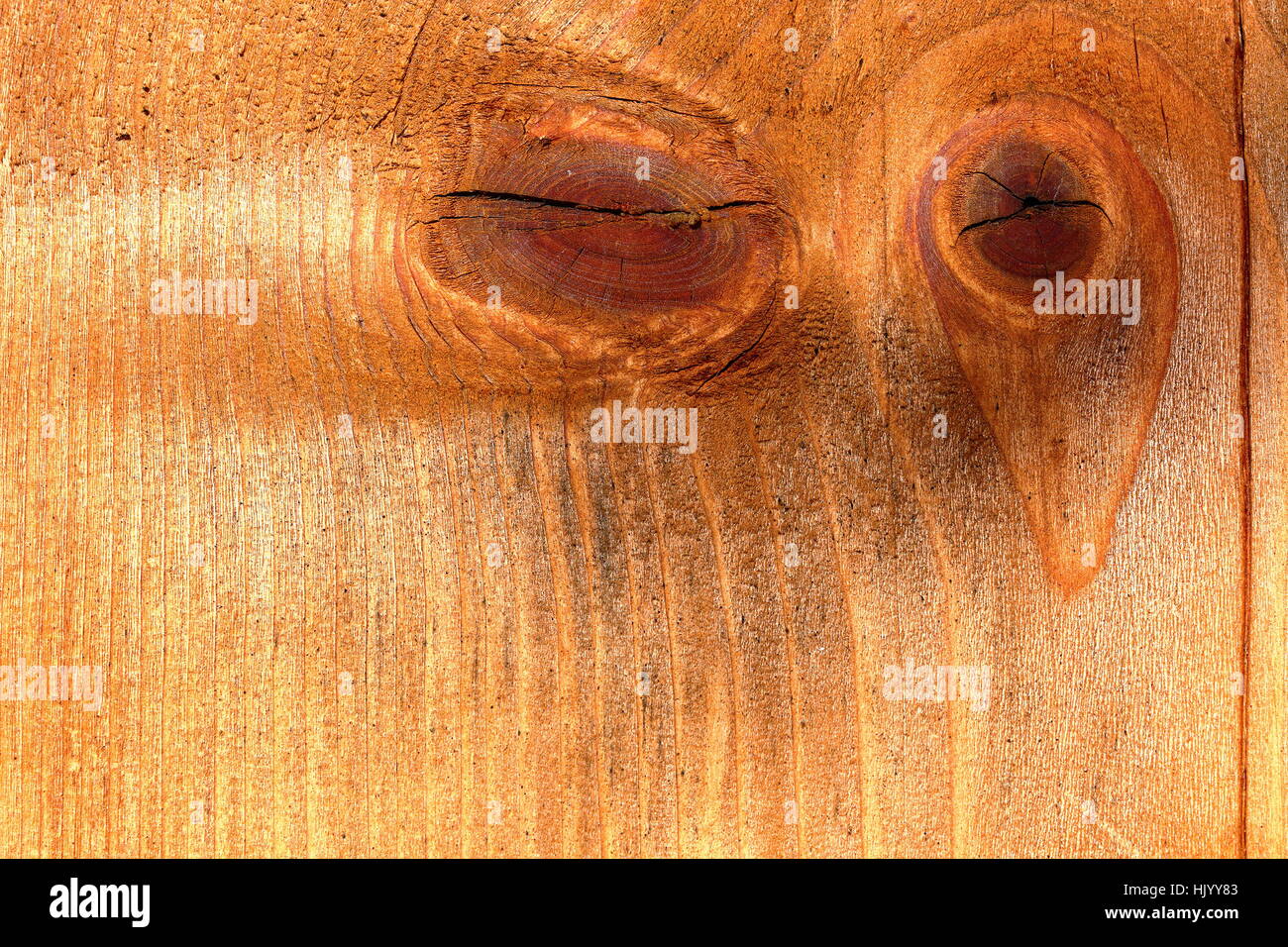 knotted spruce plank, texture for your design Stock Photo - Alamy