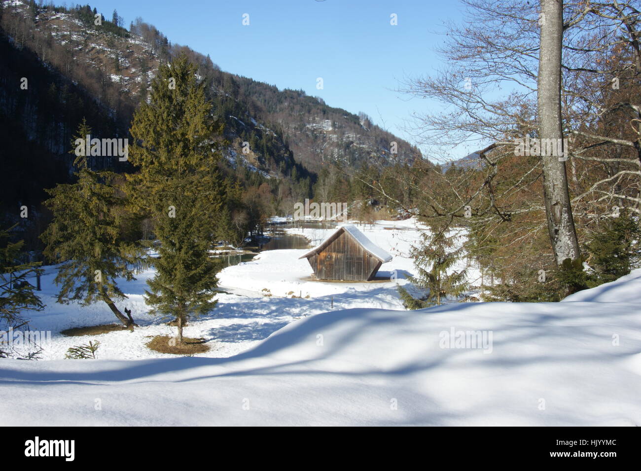 winter, zoo, outing, snow, scenery, countryside, nature, scenery ...